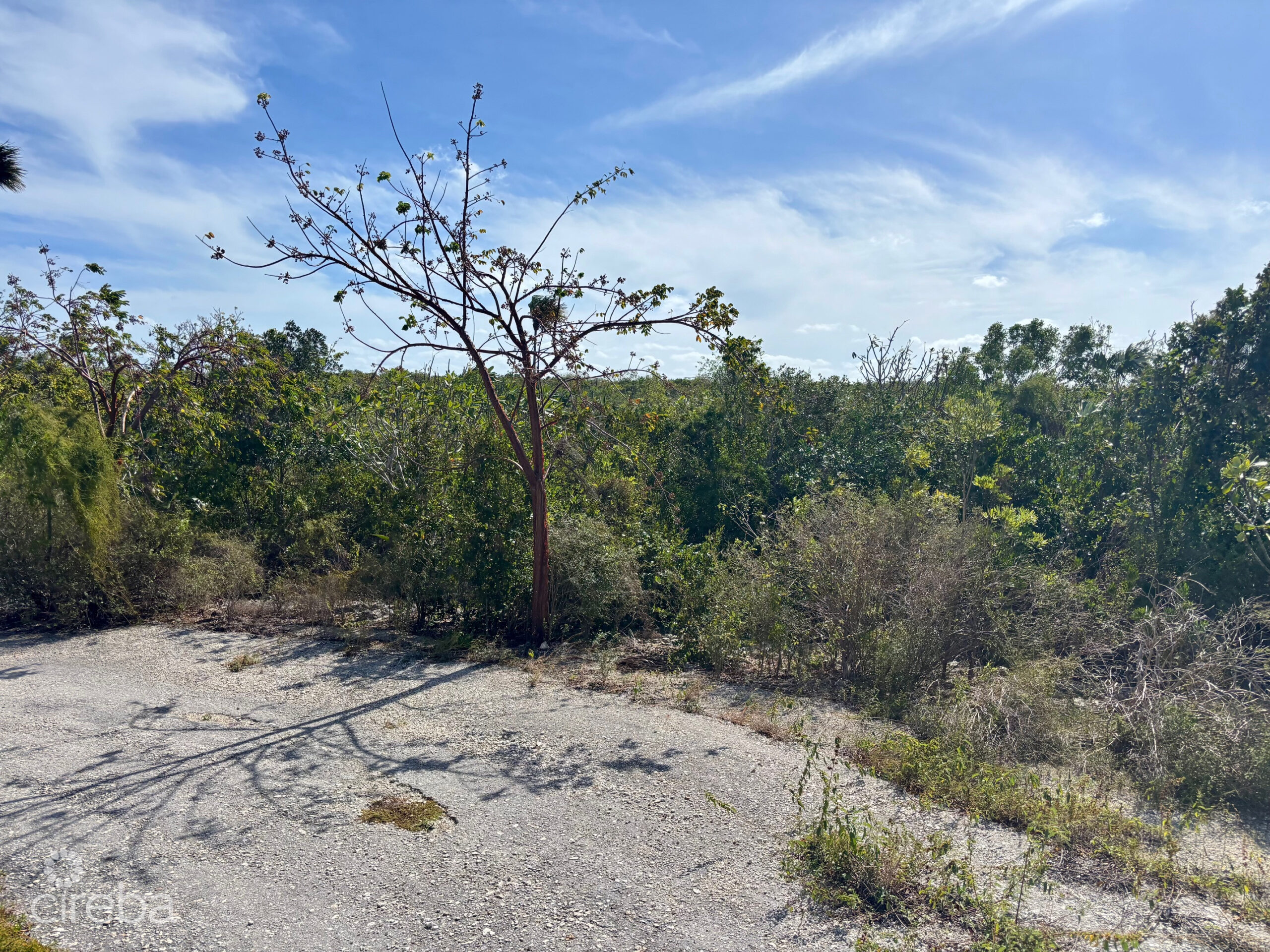 Little Cayman East Lot - .5 Acres — Property Cayman | Real Estate ...