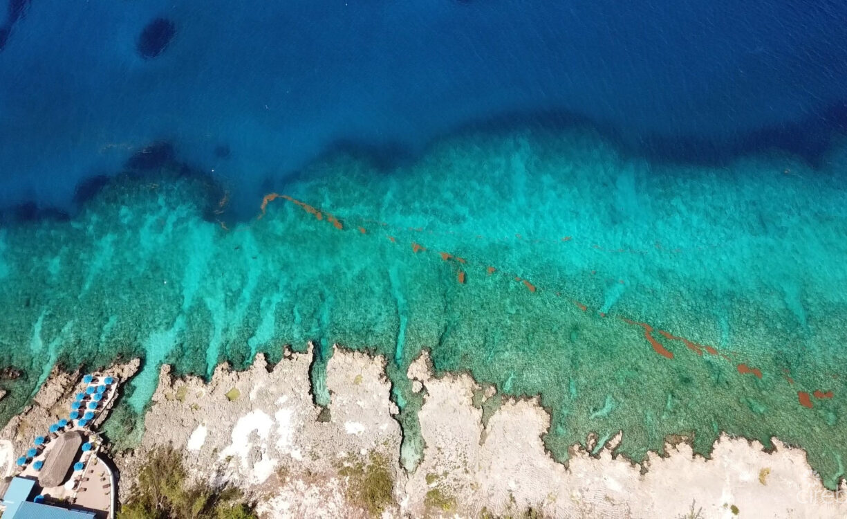 Sunset Point Oceanfront Condo — Property Cayman | Real Estate Experts ...